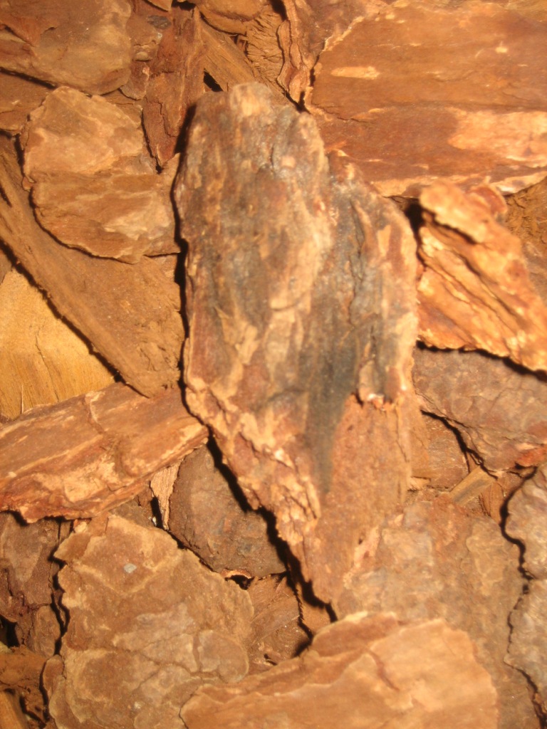 Bark - Truckee River Rock & Nursery